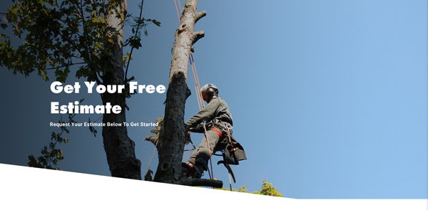 Free Estimate - Tree Removal & Pruning Services Rochester, NY | JT's Trees